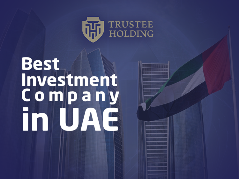 Your guide to choosing the Best Investment Company in UAE - Trustee ...